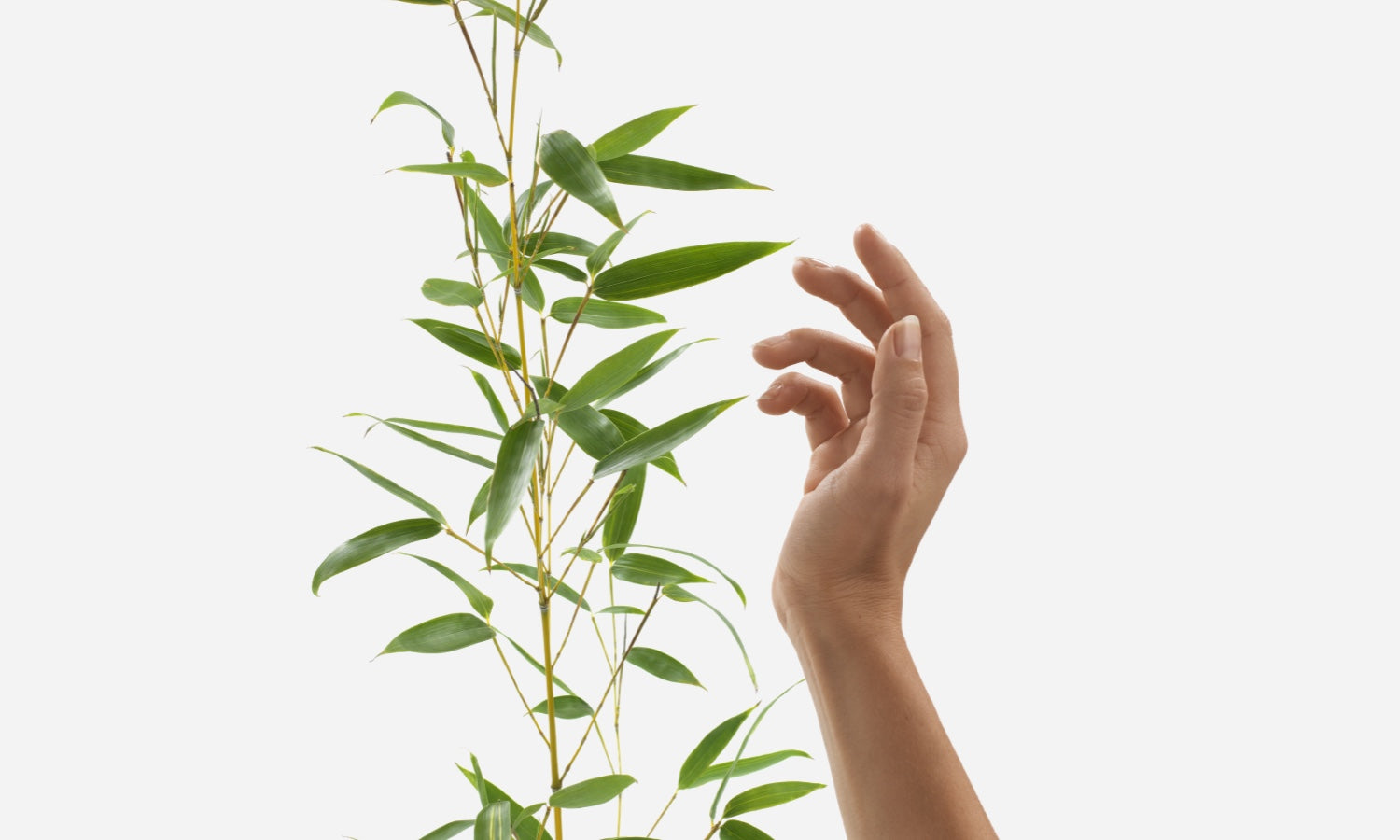 Infinity Pillow - Travel Neck Pillow - Machine Washable – Infinity Travel